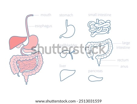 Human Body Drawing Reference | Free download on ClipArtMag