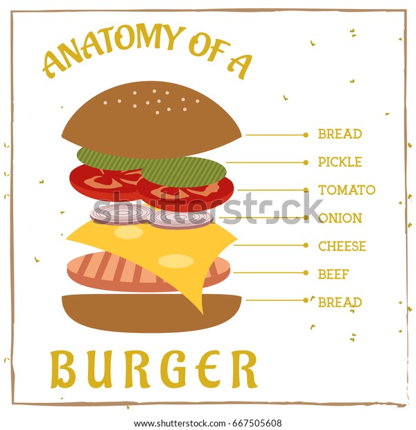 Anatomy of a burger