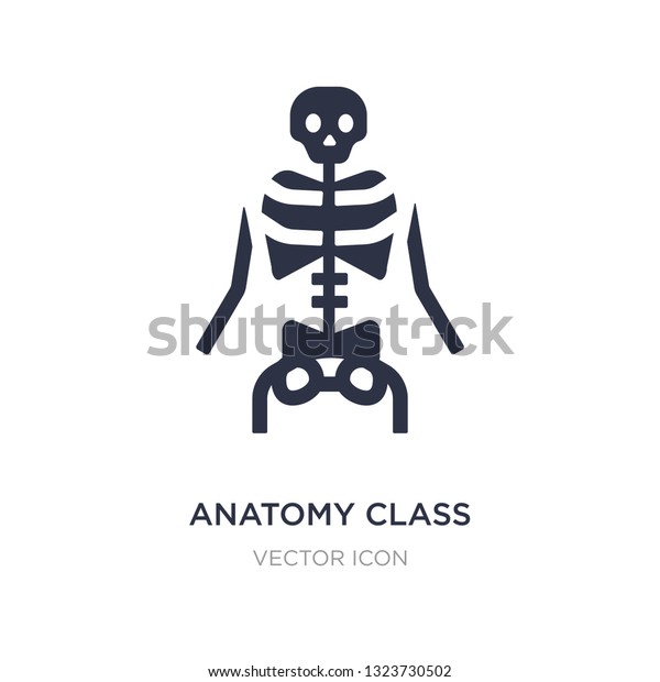 Anatomy Class Skeleton Icon On White Stock Vector (Royalty Free ...