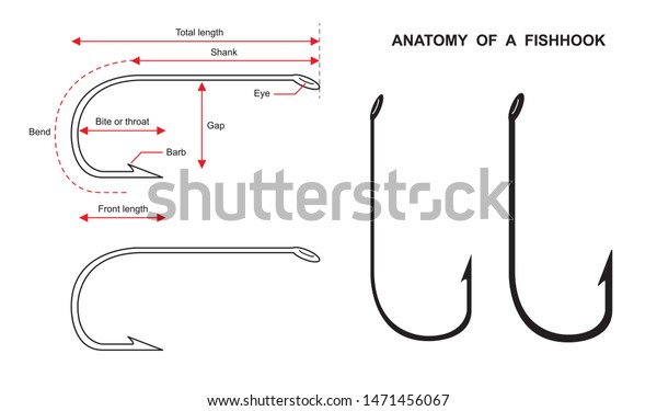 Anatomy Fish Hook Fish Hook Isolated Stock Vector (Royalty Free ...