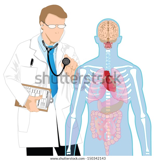 Anatomy Human Body Doctor Checking Patient Stock Vector (Royalty Free ...