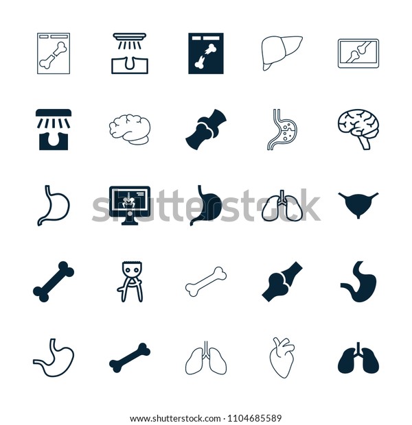 Anatomy Icon Collection 25 Anatomy Filled Stock Vector (Royalty Free ...