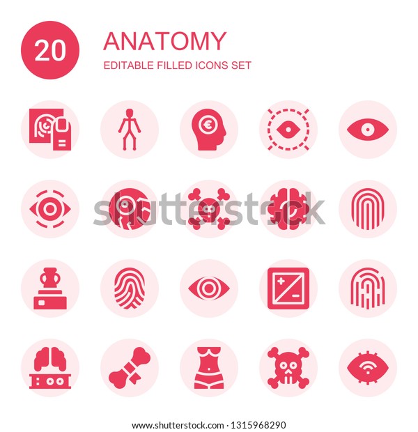 Anatomy Icon Set Collection 20 Filled Stock Vector (Royalty Free ...