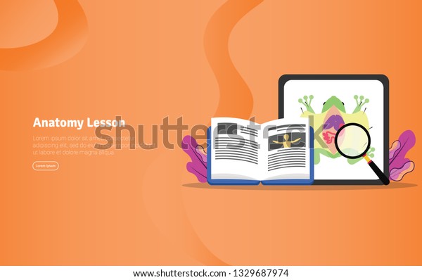 Anatomy Lesson Concept Educational Scientific Illustration Stock Vector ...