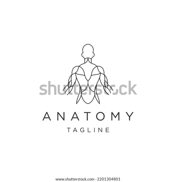 Anatomy Line Logo Icon Design Template Stock Vector (Royalty Free ...