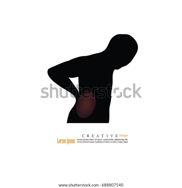 Anatomy Pain Point Man Having Pain Stock Vector (Royalty Free ...