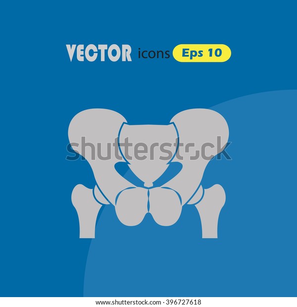 Anatomy Pelvis Icon Stock Vector (Royalty Free) 396727618 | Shutterstock