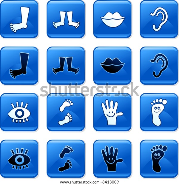 Anatomy Rollover Buttons Stock Vector (Royalty Free) 8413009 | Shutterstock