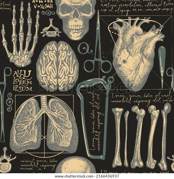 46.070 Anatomy patterns Gambar, Foto Stok & Vektor | Shutterstock