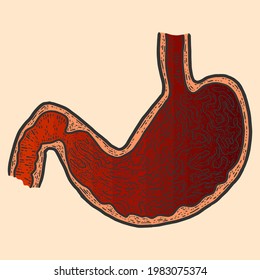 1,013 Scratching stomach Images, Stock Photos & Vectors | Shutterstock
