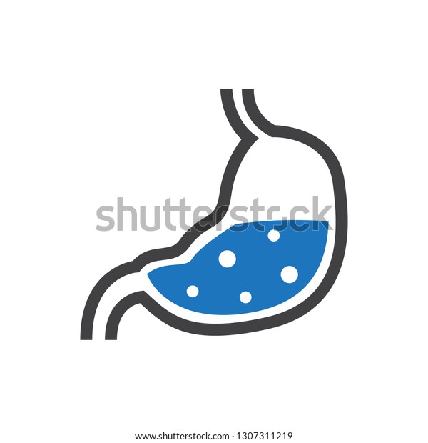 Anatomy Stomach Icon Stock Vector (Royalty Free) 1307311219 | Shutterstock