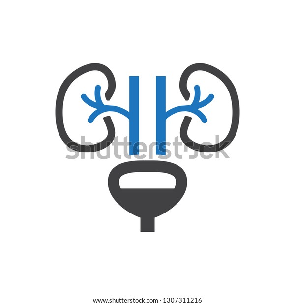 Anatomy Urology Icon Stock Vector (Royalty Free) 1307311216 | Shutterstock
