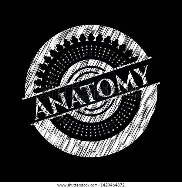 「Anatomy Written Chalkboard Texture Vector Illustration」のベクター画像素材 ...