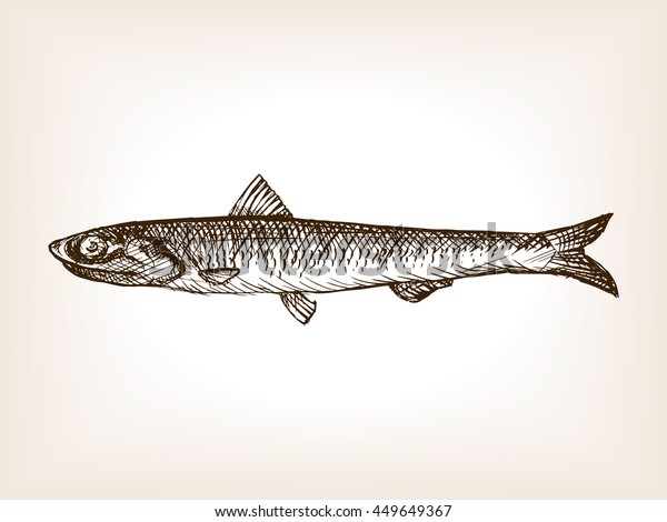 Anchovy Fish Sketch Style Vector Illustration Stock Vector (Royalty ...