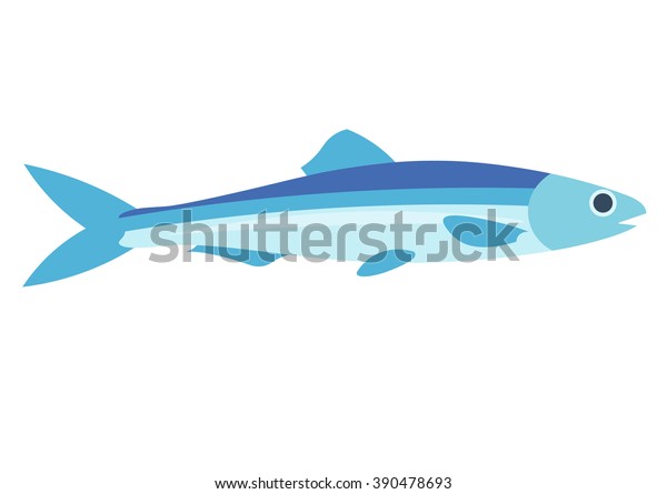 Anchovy Vector Illustration Isolated On White Stock Vector (Royalty ...