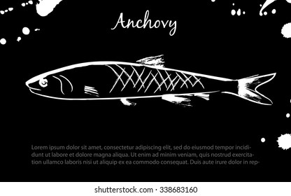 Anchovy Vector Isolated Illustration Ink Hand: เวกเตอร์สต็อก (ปลอดค่า ...