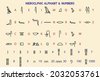 Hieroglyphs Photos and Images | Shutterstock