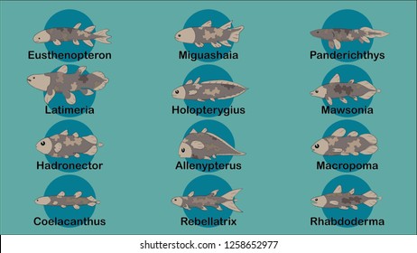 Ancient Fish Collection Stock Vector (Royalty Free) 1258652977