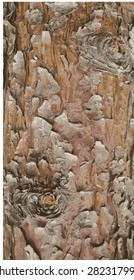 Ancient Fur Tree Bark Stock Vector (Royalty Free) 282317990 | Shutterstock