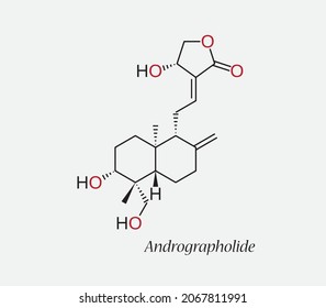 Andrographolide Molecule Structure Isolated On Background Stock Vector ...