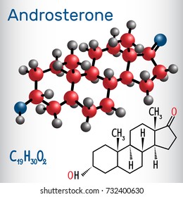 Androsterone Endogenous Steroid Hormone Structural Chemical Stock ...