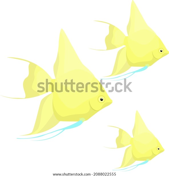 Angel Fish Illustration Vector On White Stock Vector (Royalty Free ...
