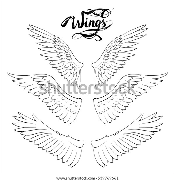 Angel Wings Vector Lettering Drawing 스톡 벡터(로열티 프리) 539769661