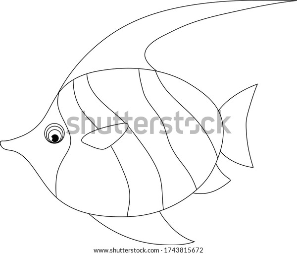 Page de coloriage des poissons anges : image vectorielle de stock ...