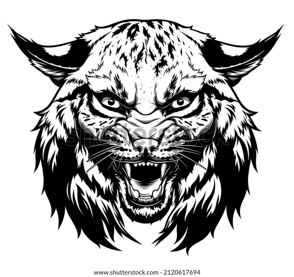 777 Angry Bobcat Images, Stock Photos & Vectors | Shutterstock