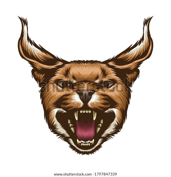Angry Bobcat Head Vector Detailed Style Stock Vector (Royalty Free ...