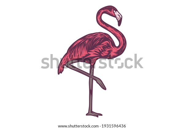 LOGO VECTORIEL FLAMINGO EN COLÈRE PLEIN : image vectorielle de stock ...