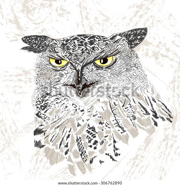 Angry Indifferent Snowy Owl Graphics Illustration Stock Vector (Royalty ...