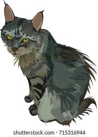 Angry Offended Cat Vector Illustration Realistic Stock Vector (Royalty ...
