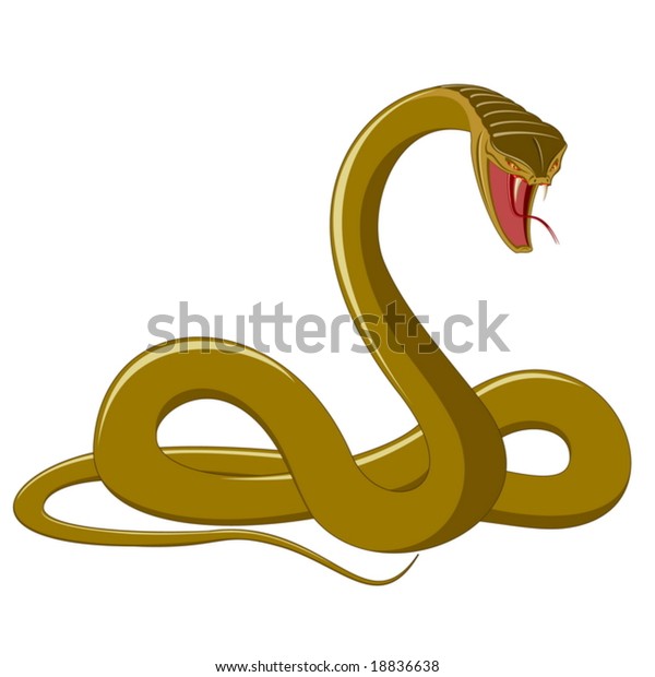 Angry snake - isolated on white - vector