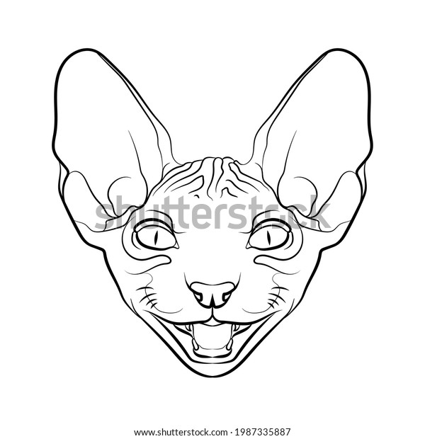 Angry Sphynx Cat Head Line Drawing Stock Vector (Royalty Free ...