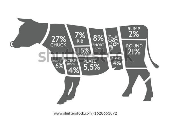 Angus Beef Chart Meat Cuts Stock Vector (Royalty Free) 1628651872 ...