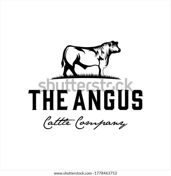 Angus Bull Logo Design Classic Elegant Stock Vector (Royalty Free ...