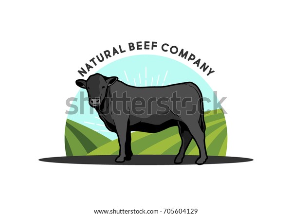 Angus Cattle Beef Illustration Easy Edit Stock Vector (Royalty Free ...