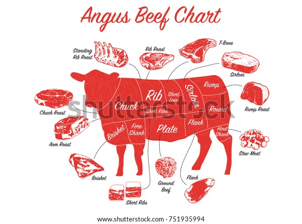 Angus Cuts Great Selection Angus Stock Vector (Royalty Free) 751935994 ...