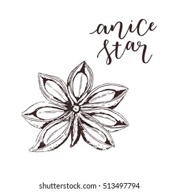 Anice Star Stock Vector (Royalty Free) 513497794 | Shutterstock
