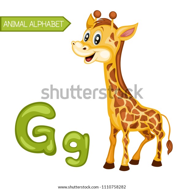 Animal Alphabet G Giraffe Vector Illustration Stock Vector (Royalty ...