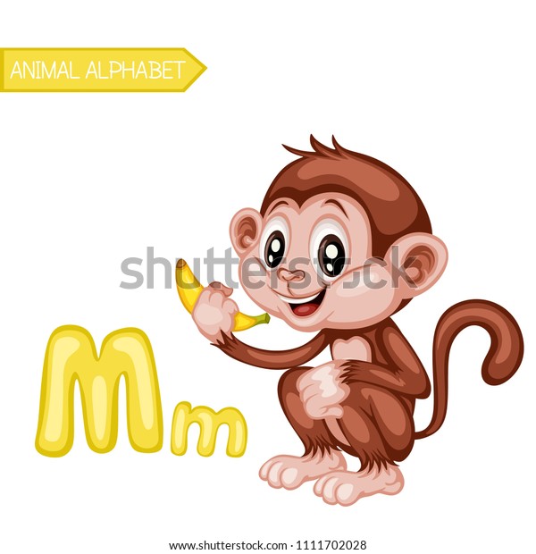 Animal Alphabet M Monkey Vector Illustration Stock Vector (Royalty Free ...