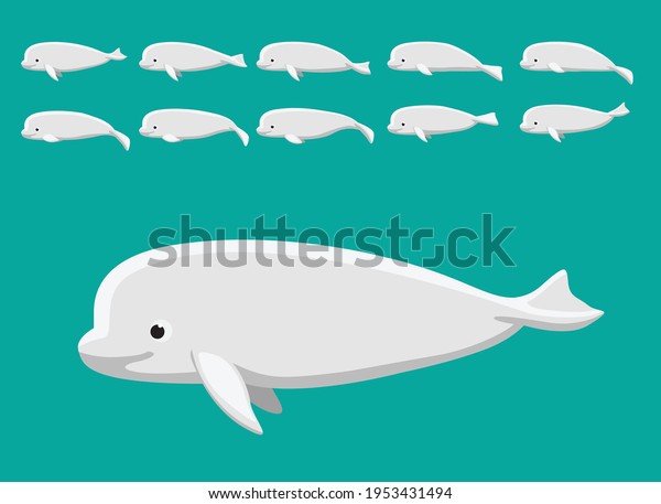 Animal Animation Beluga Cartoon Vector Sequence Stock Vector (Royalty ...