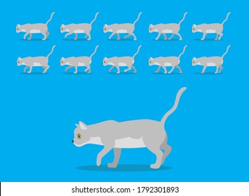 Animal Animation Sequence Cat Burmilla Cartoon Stock Vector (Royalty ...
