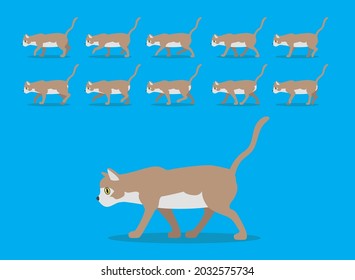 835 Sequence cat Images, Stock Photos & Vectors | Shutterstock