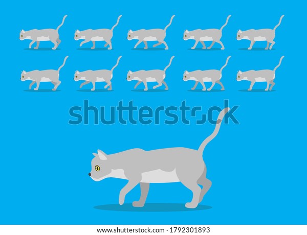 Animal Animation Sequence Cat Burmilla Cartoon Stock Vector (Royalty ...