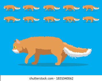 835 Sequence cat Images, Stock Photos & Vectors | Shutterstock