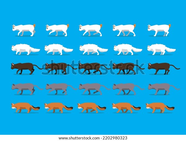 Animal Animation Sequence Cat Somali Russian Stock Vector (Royalty Free ...