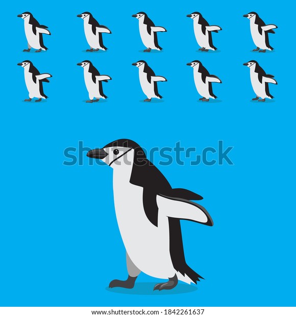 Animal Animation Sequence Chinstrap Penguin Cartoon Stock Vector ...