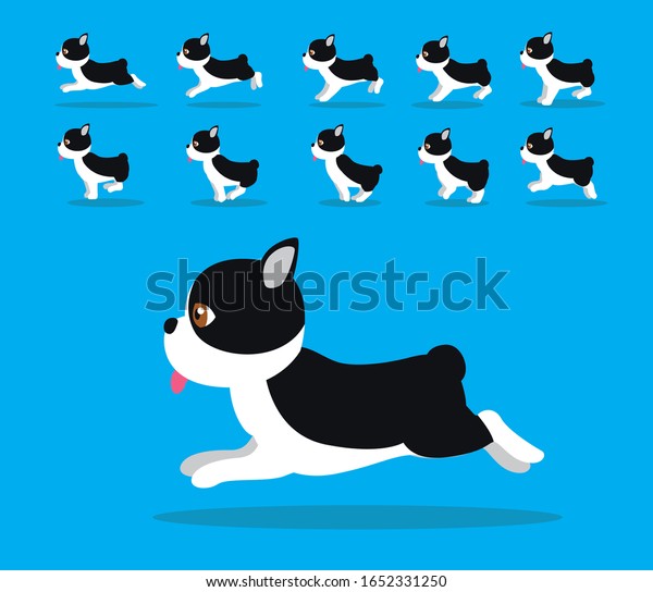 Animal Animation Sequence Dog Boston Terrier Cartoon Vector